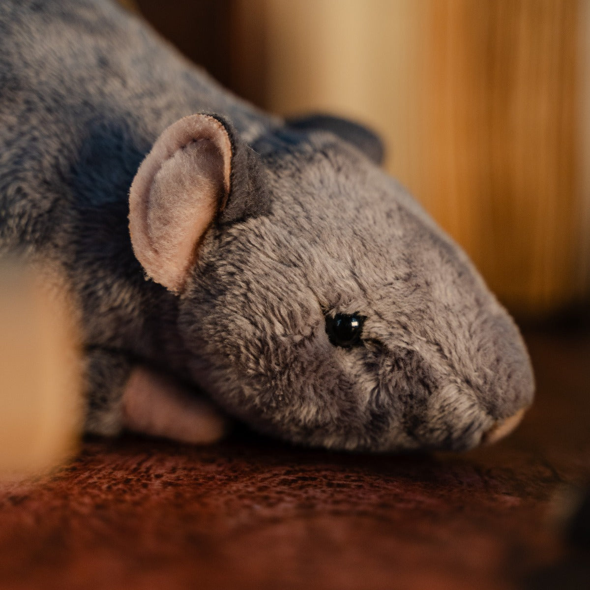 Squeaky Rat – The Real Mary King's Close