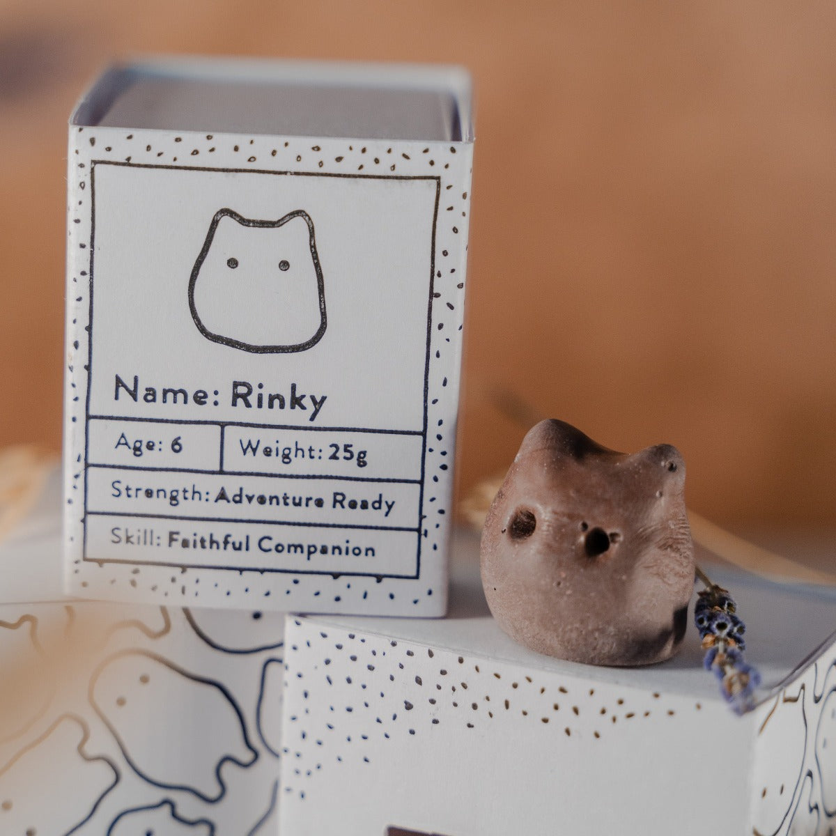 Worrywart Rinky – The Real Mary King's Close